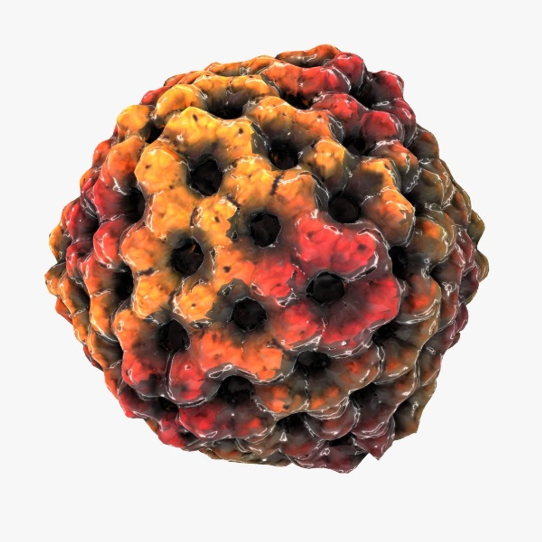 Rice Dwarf Virus 3d Model