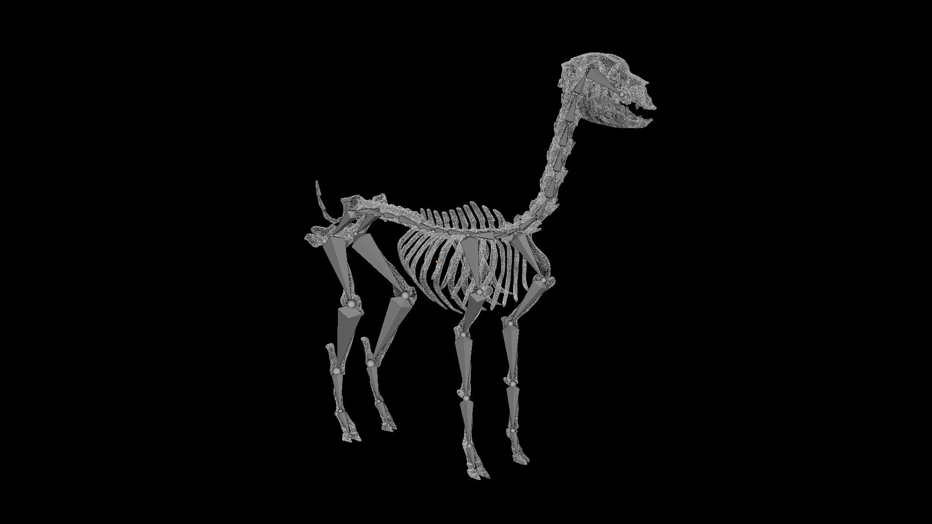 3D Model Alpaca Skeleton - TurboSquid 1879123