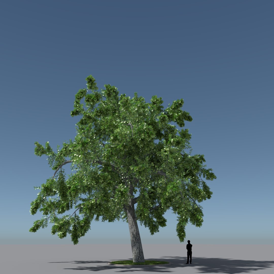 free max mode tree oak v3