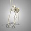 3d skeleton monkey model