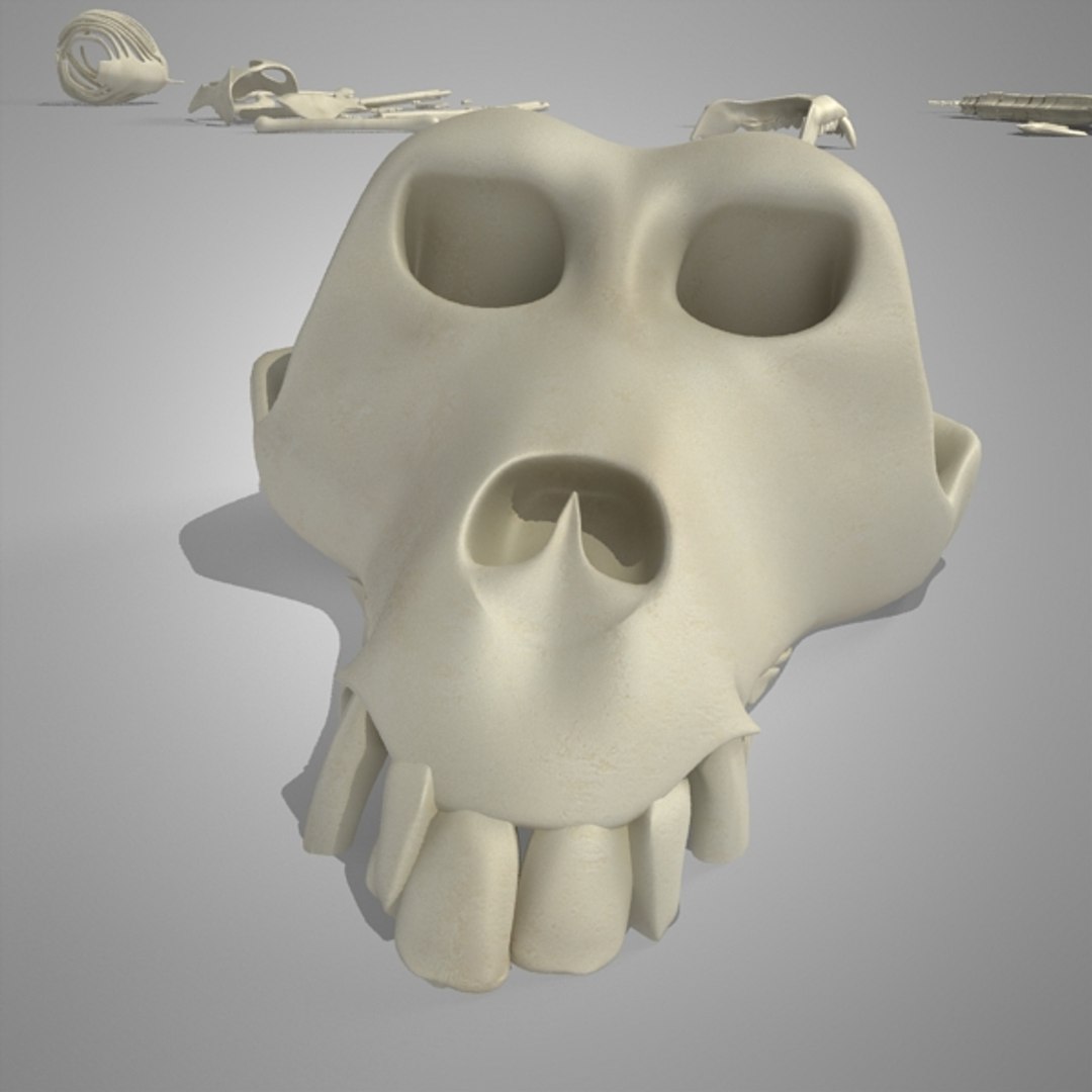 3d skeleton monkey model