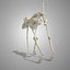 3d skeleton monkey model