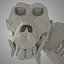 3d skeleton monkey model