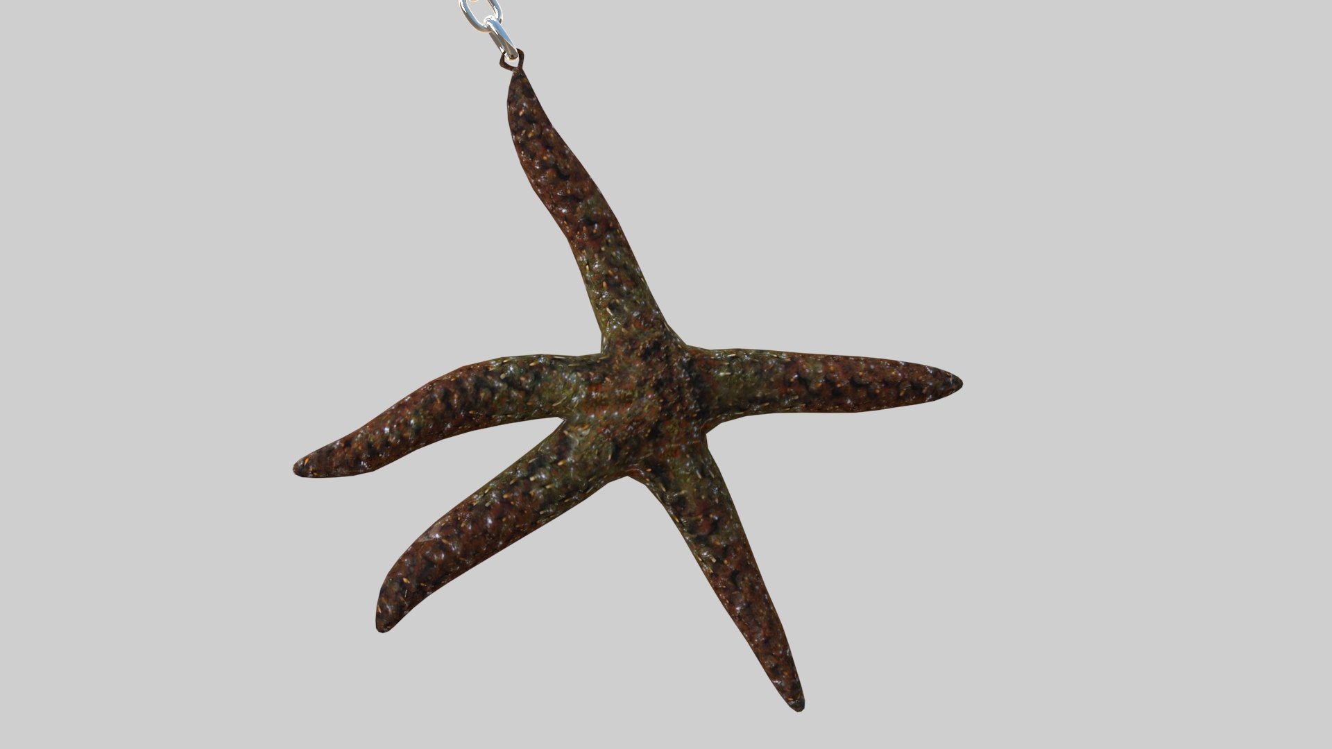 Starfish Keychain 3D Model - TurboSquid 2343010