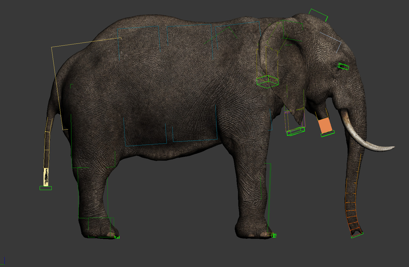 photorealistic elephant rigging 3d max