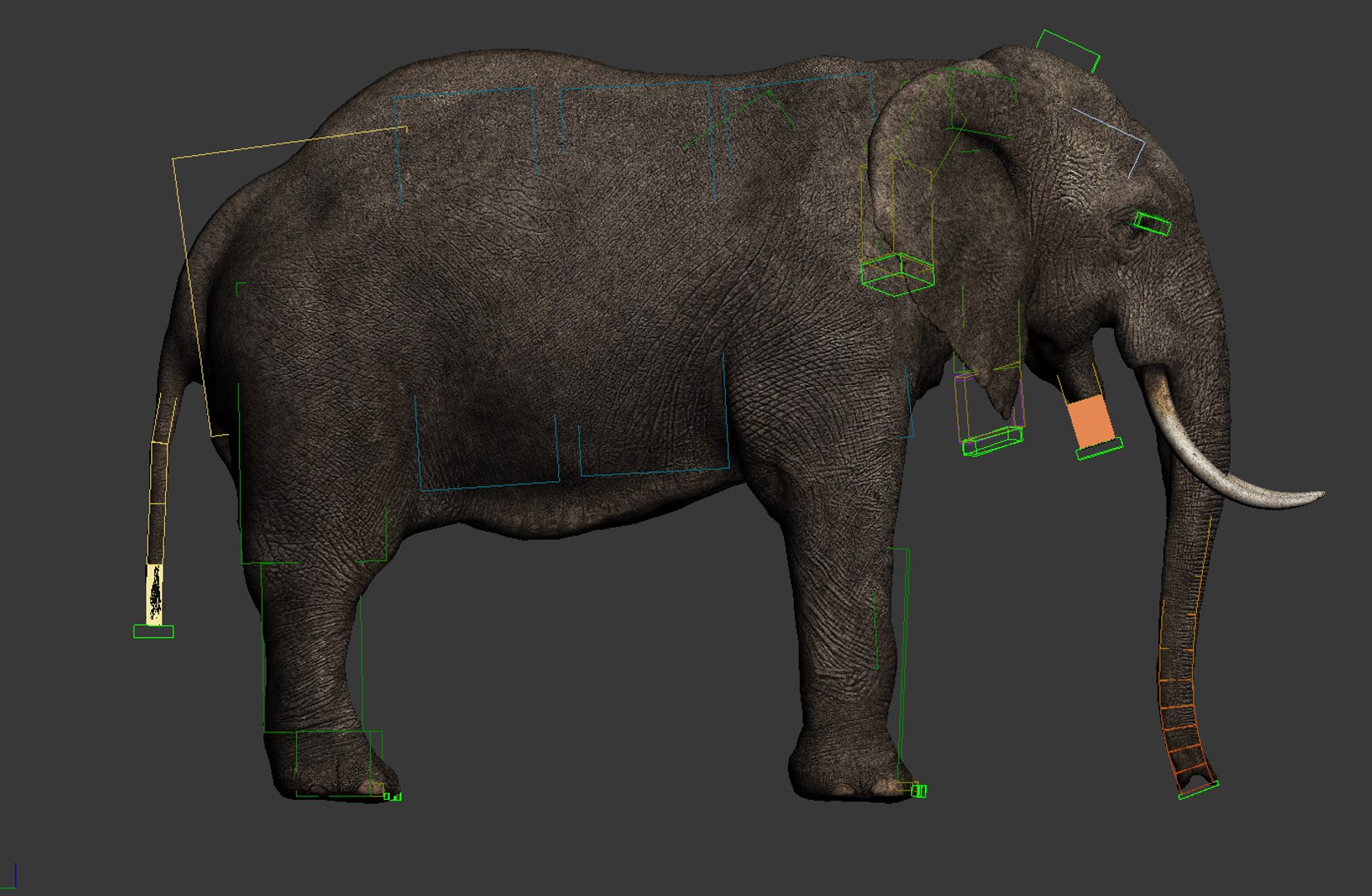 Photorealistic Elephant Rigging 3d Max