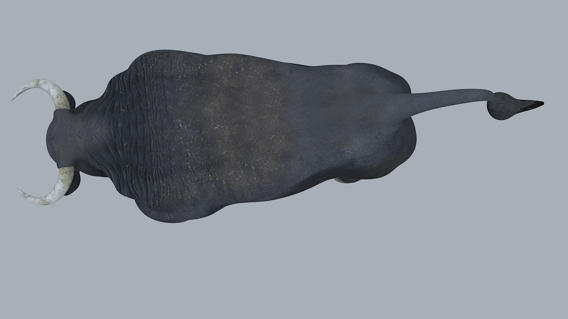 Ready Modelled 3D Model - TurboSquid 1442987