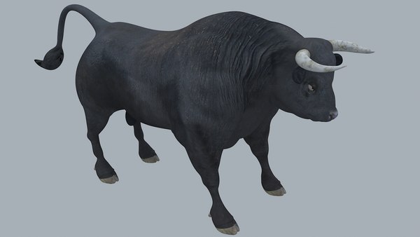 Bull Blender Models for Download | TurboSquid