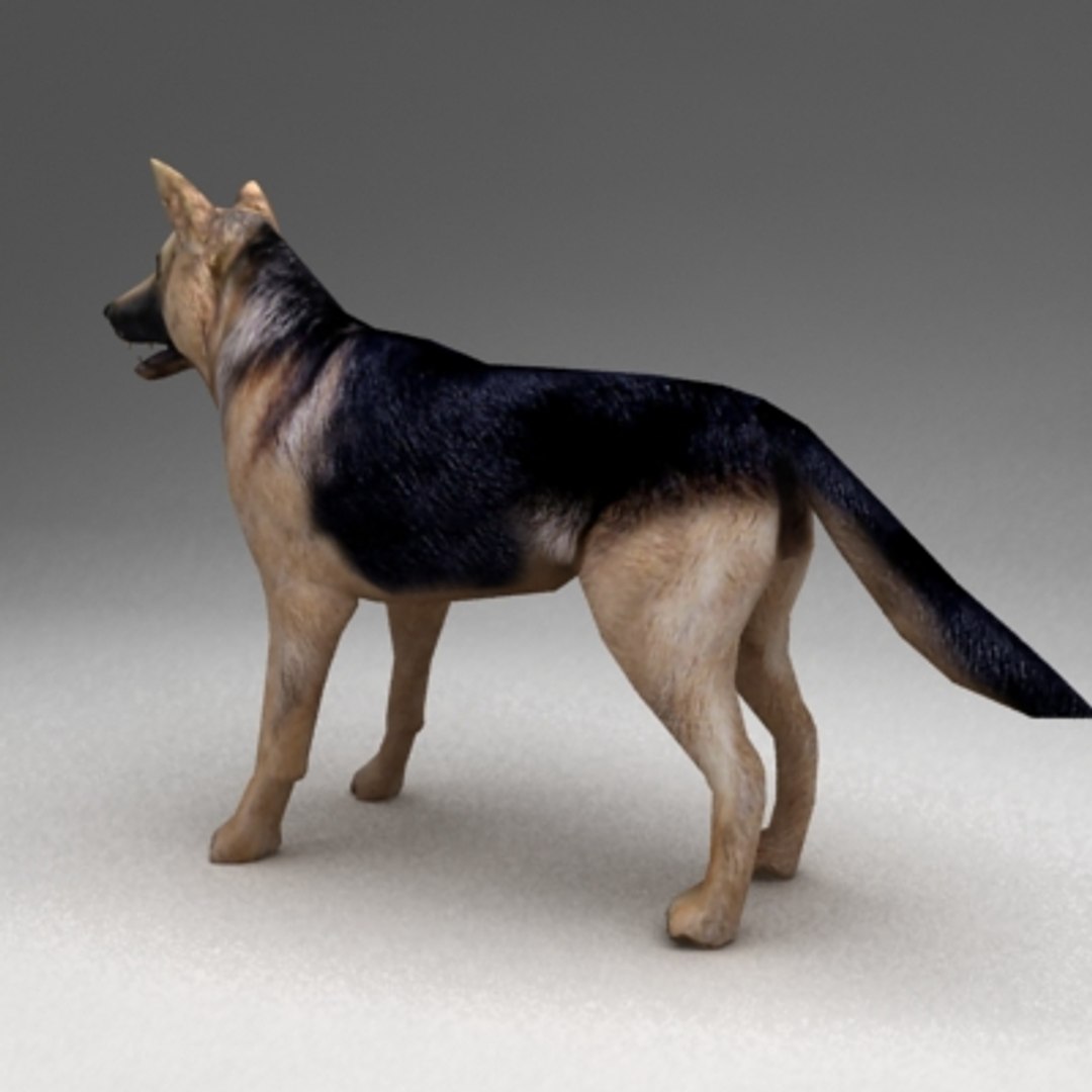 3d rigged german shepherd
