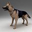 3d rigged german shepherd