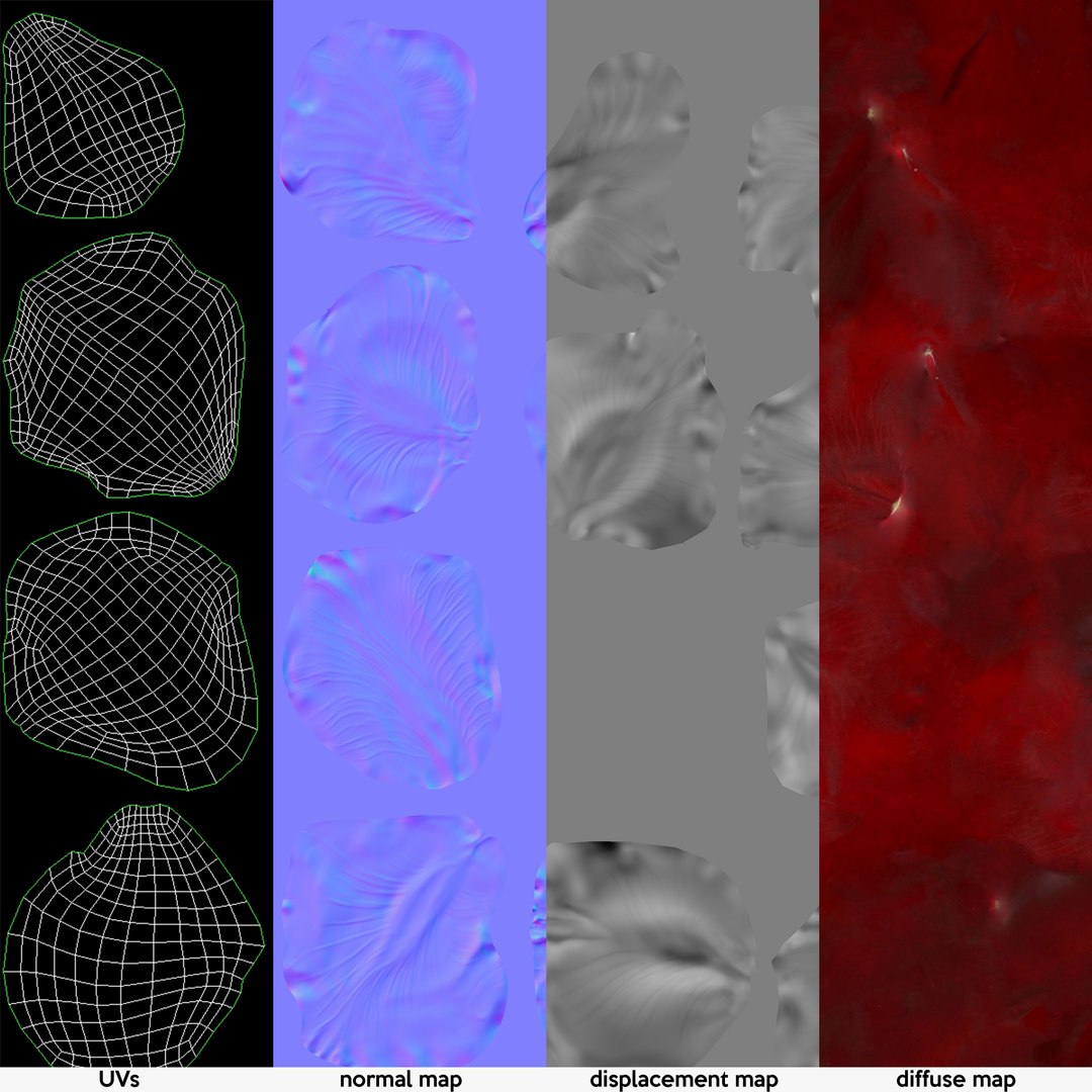 X Realistic Rose Petals