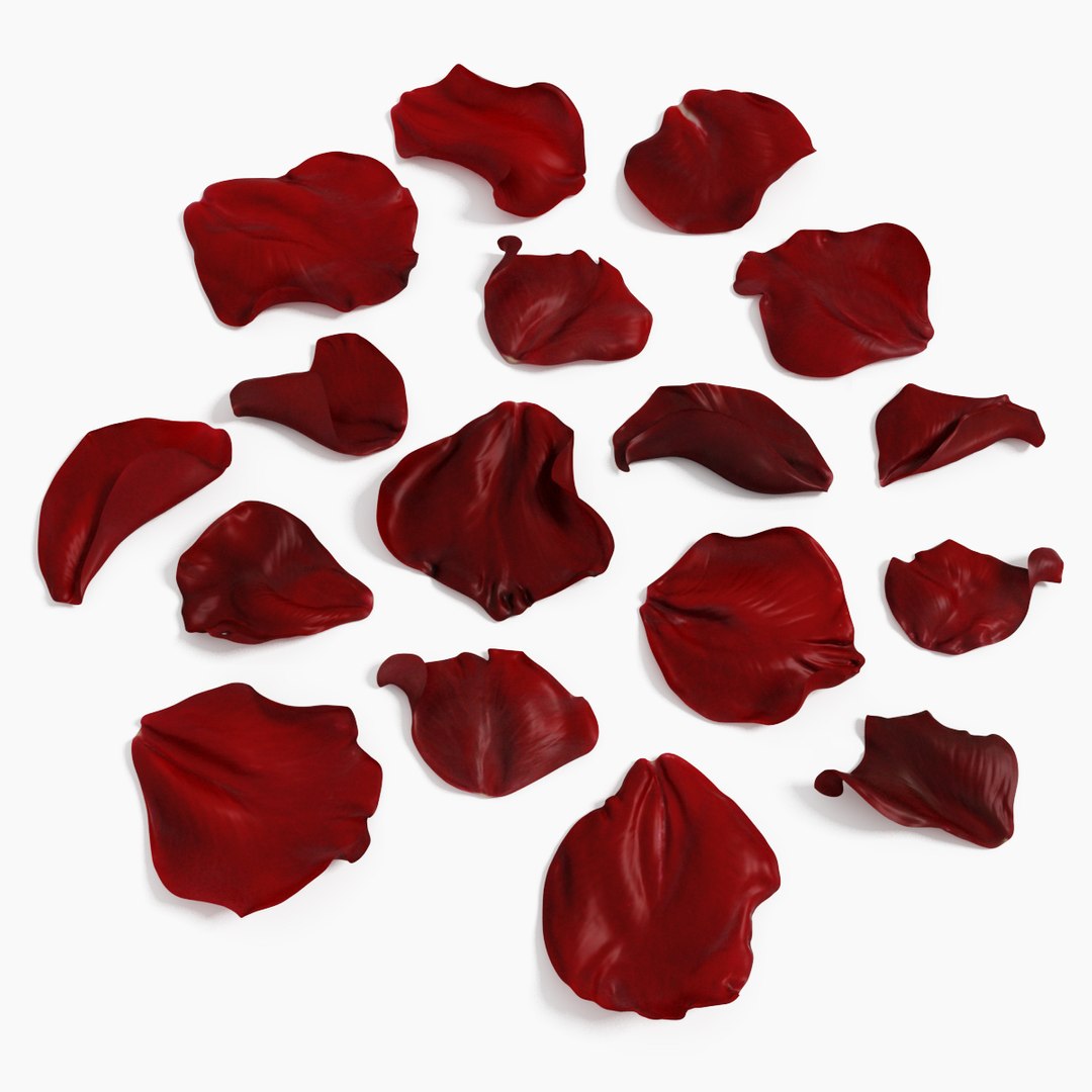X Realistic Rose Petals