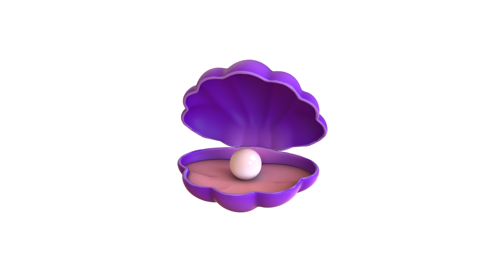3D Open Clam Sea Shell 06 - TurboSquid 2331070