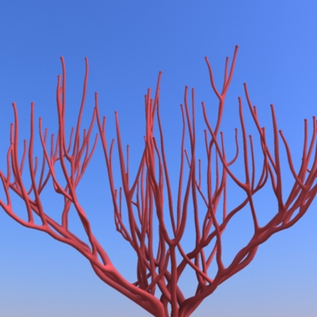 Coral 3d Model