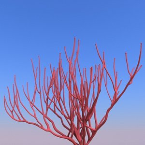 Coral Reef 3D Models for Download | TurboSquid