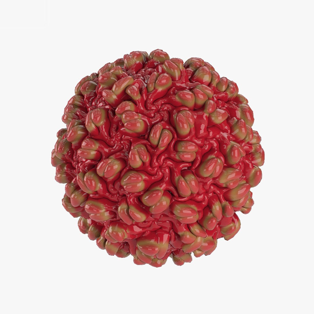 Hepatitis b 3D - TurboSquid 1680913