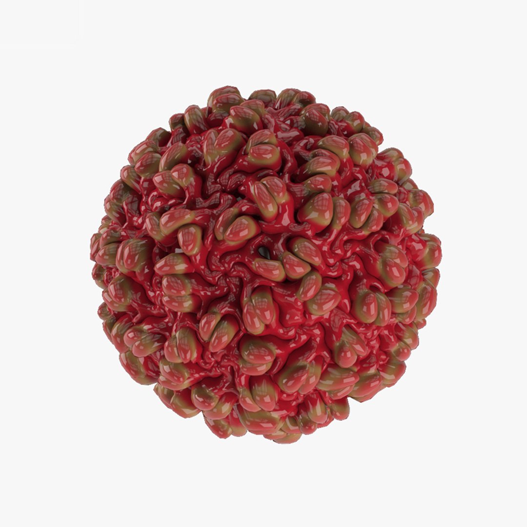 Hepatitis b 3D - TurboSquid 1680913