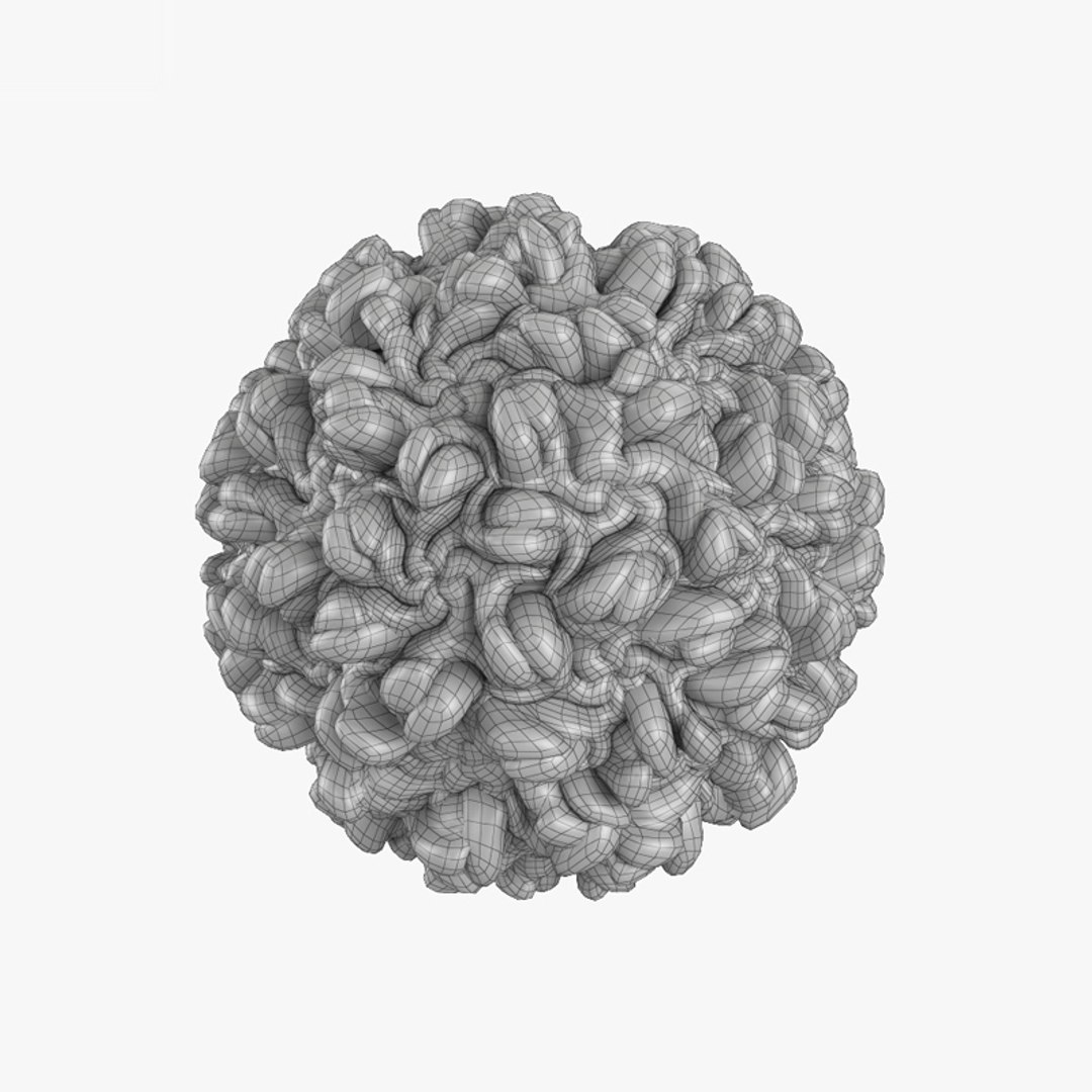 Hepatitis b 3D - TurboSquid 1680913