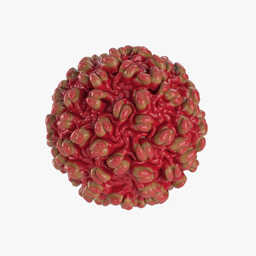 Hepatitis b 3D - TurboSquid 1680913