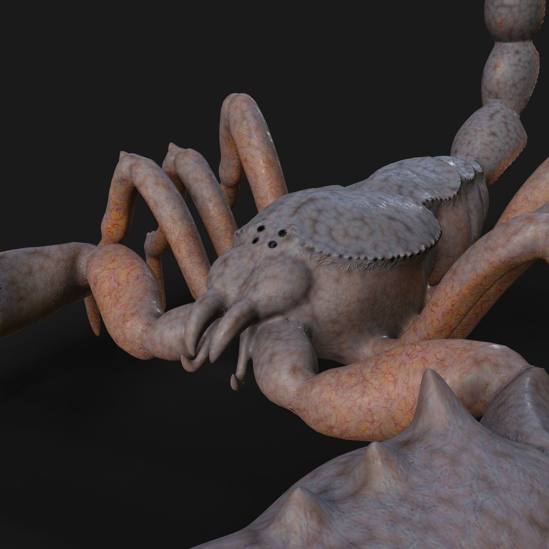3D Scorpion Animation And Texture Pack 3D Model - TurboSquid 1788573