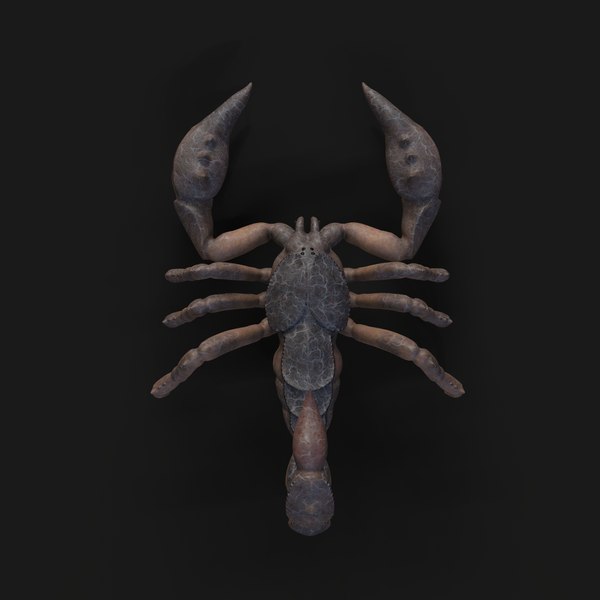 modelo 3d Modelo 3D de Scorpion Animation and Texture Pack - TurboSquid ...