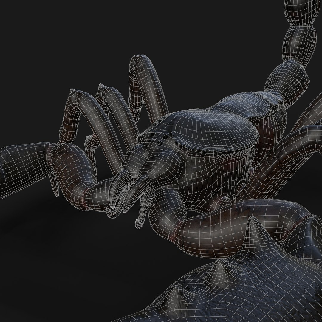 3D Scorpion Animation and Texture Pack 3D model - TurboSquid 1788573