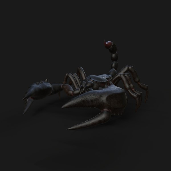 3d model scorpion hdri