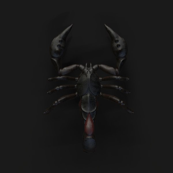 modelo 3d Modelo 3D de Scorpion Animation and Texture Pack - TurboSquid ...