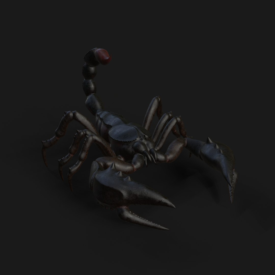 3D Scorpion Animation and Texture Pack 3D model - TurboSquid 1788573