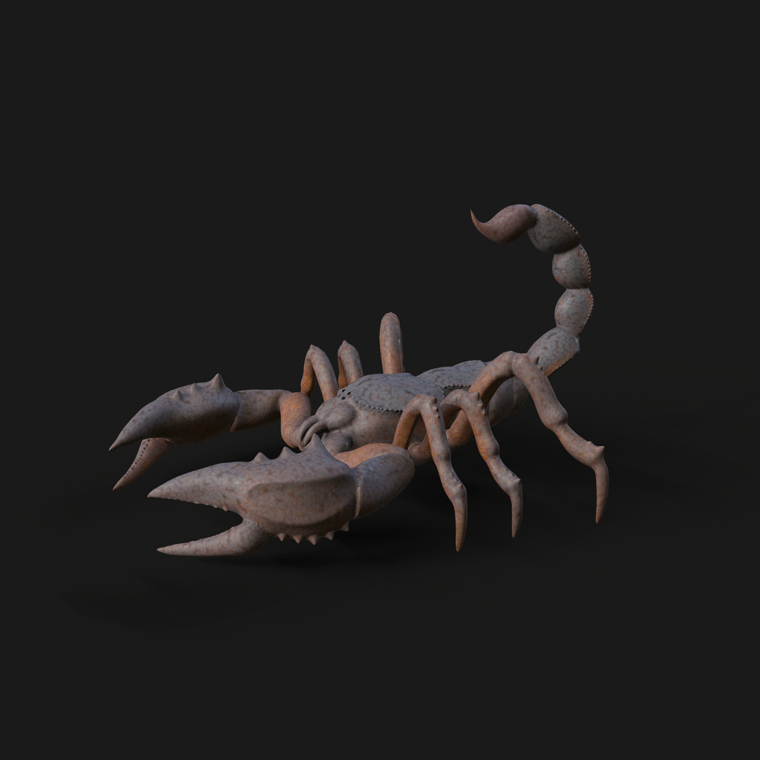 3D Scorpion Animation and Texture Pack 3D model - TurboSquid 1788573