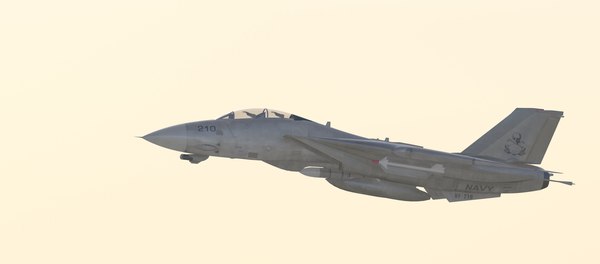 Grumman F-14 Tomcat 3D Models for Download | TurboSquid