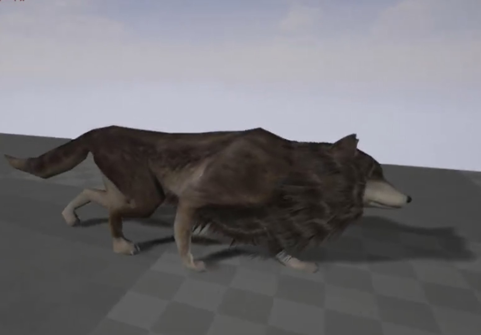 3d Ready Wolf Animations Model