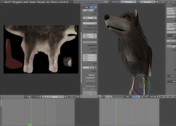 3d ready wolf animations model