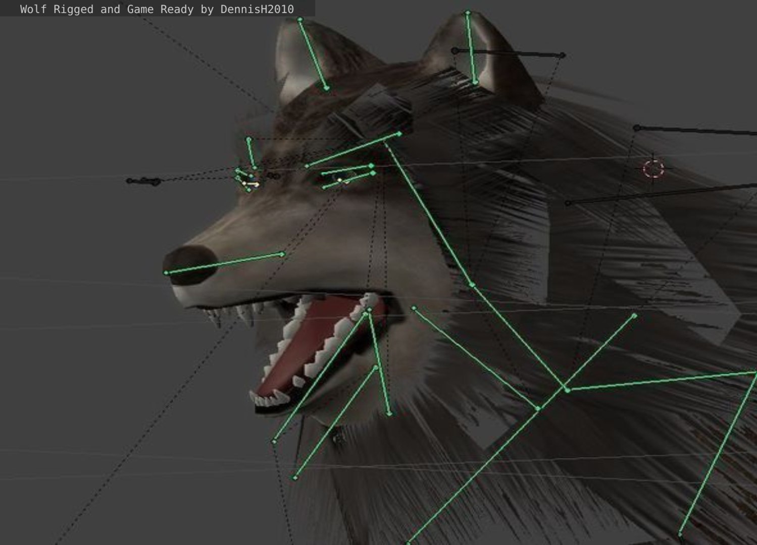 3d Ready Wolf Animations Model
