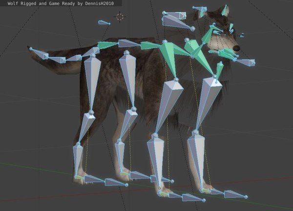 3d ready wolf animations model