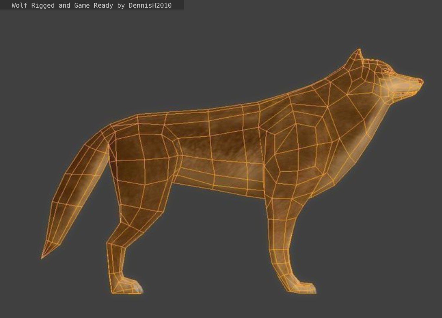 3d Ready Wolf Animations Model