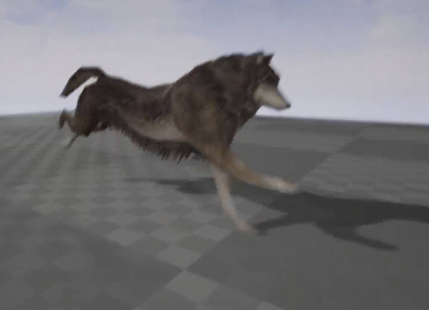 3d Ready Wolf Animations Model