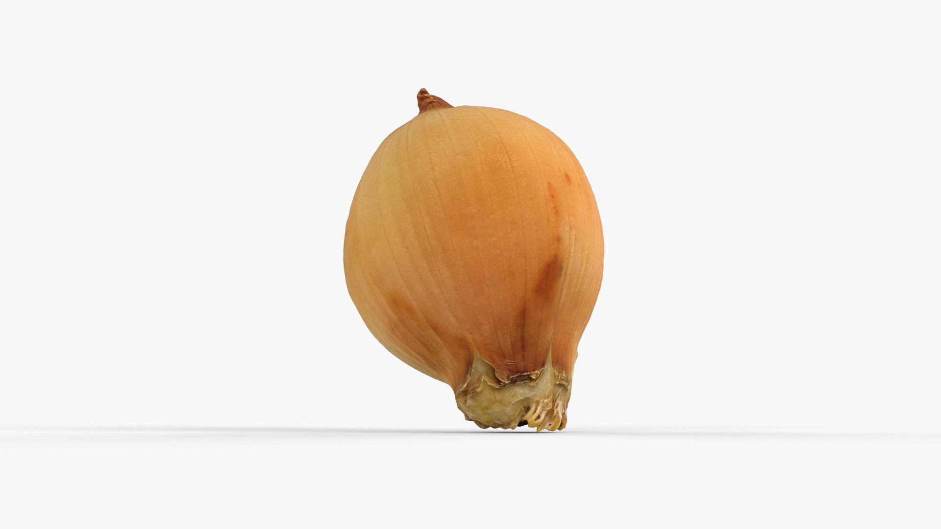 Photorealistic 3D Scan Of Onion 3D - TurboSquid 2410146
