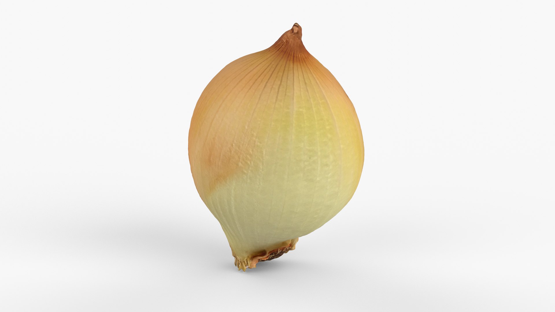 Photorealistic 3D Scan Of Onion 3D - TurboSquid 2410146