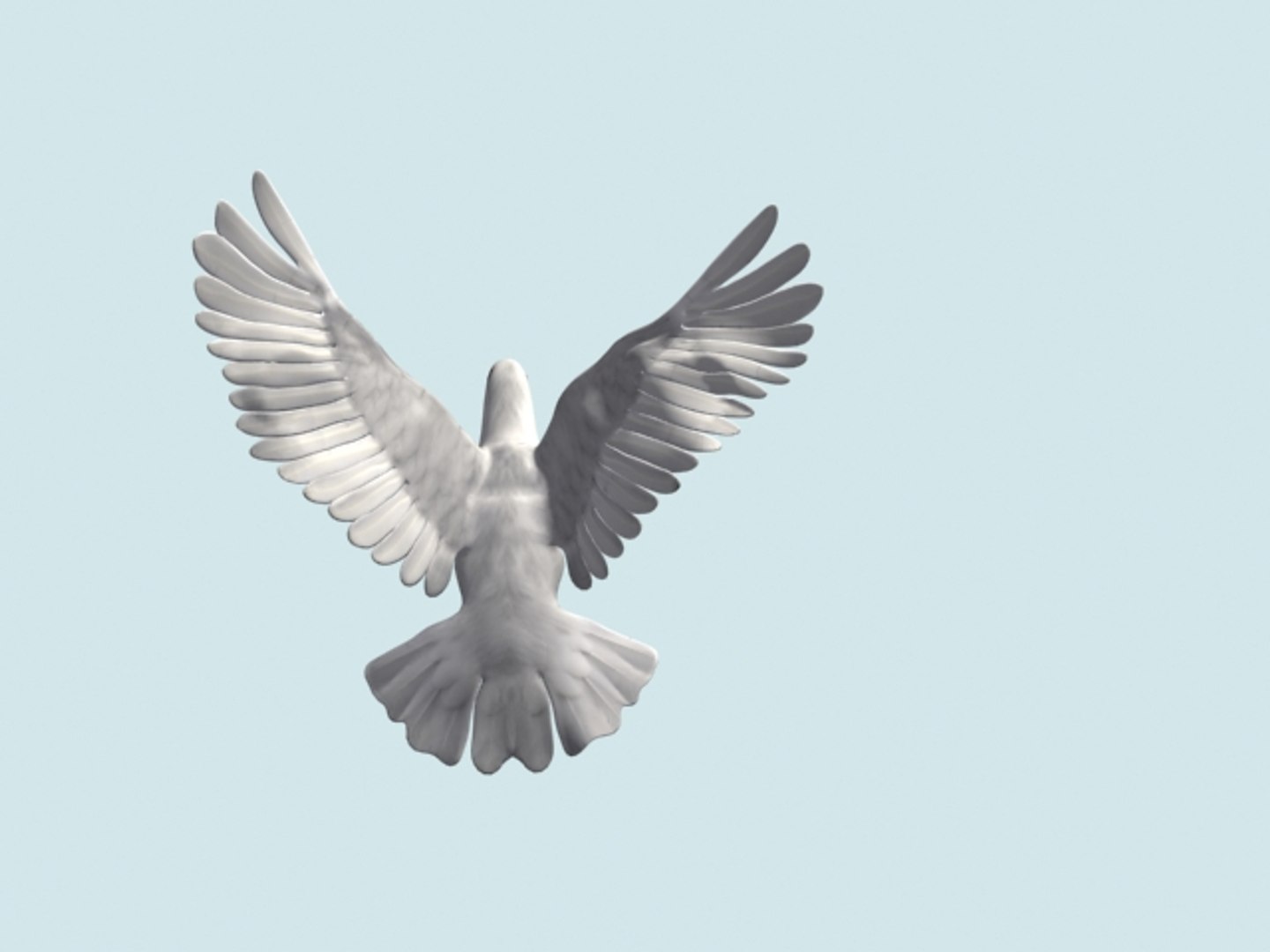 3d White Dove Rigged Animation