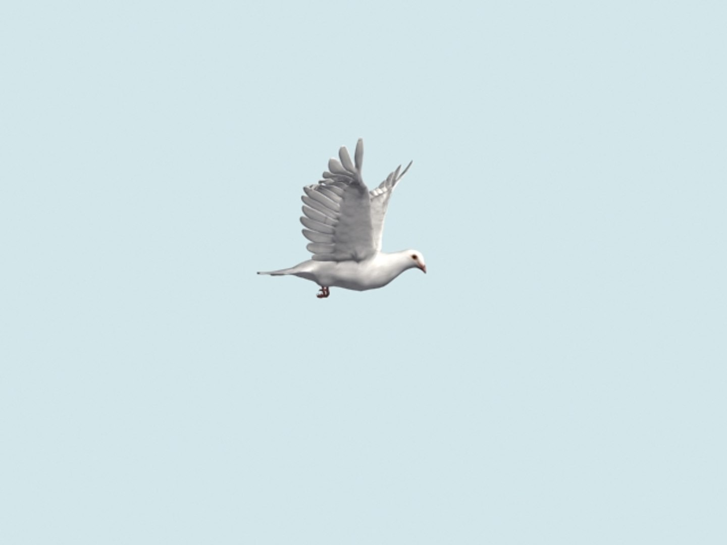 3d White Dove Rigged Animation