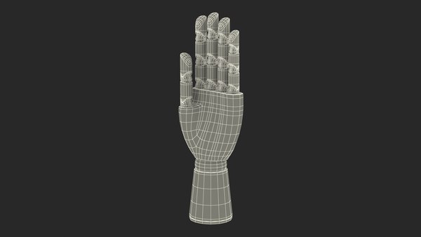 Light Wood Hand Rigged for Modo model - TurboSquid 2006366