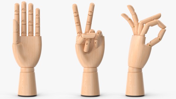 Light Wood Hand Rigged for Modo model - TurboSquid 2006366