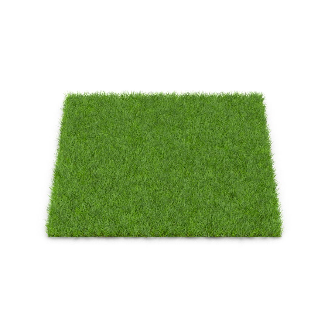 3d grass fields 2 model
