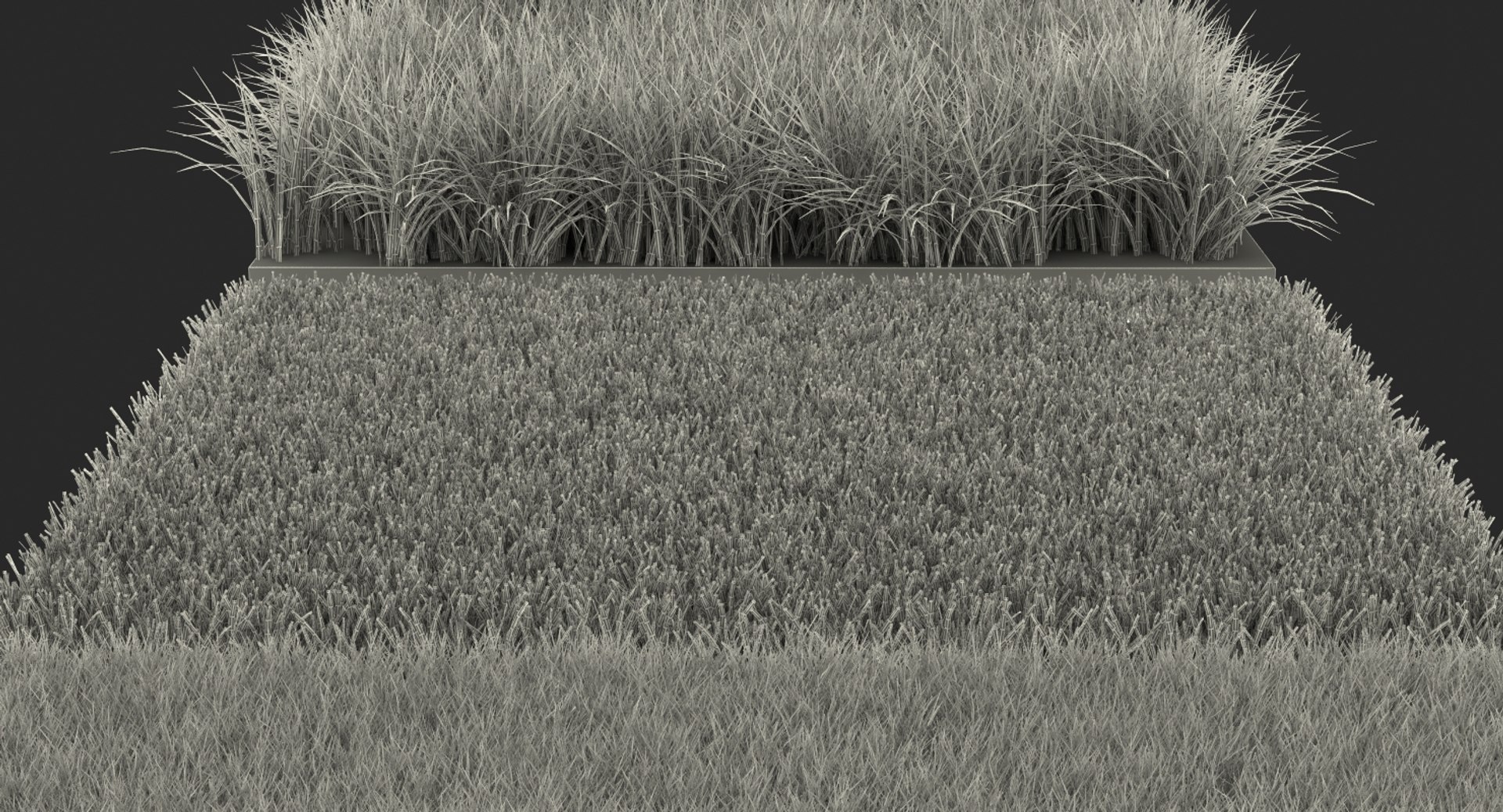 3d grass fields 2 model