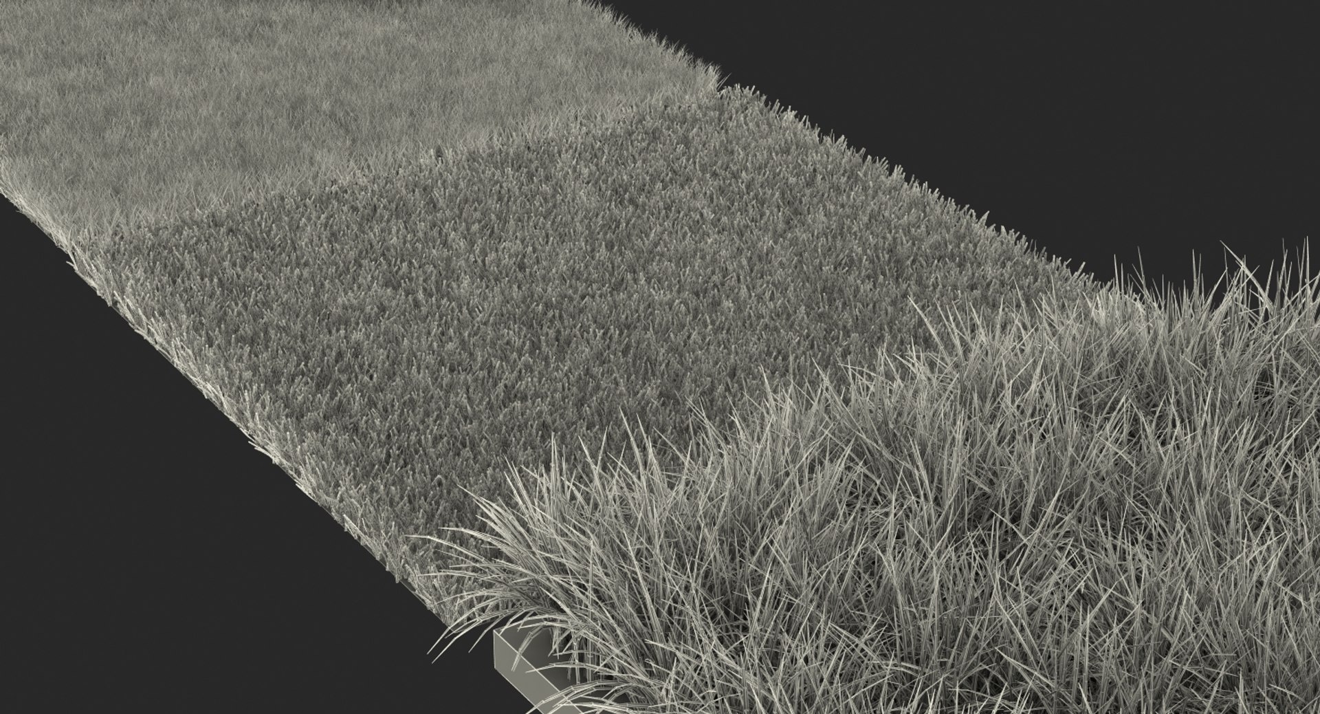 3d grass fields 2 model