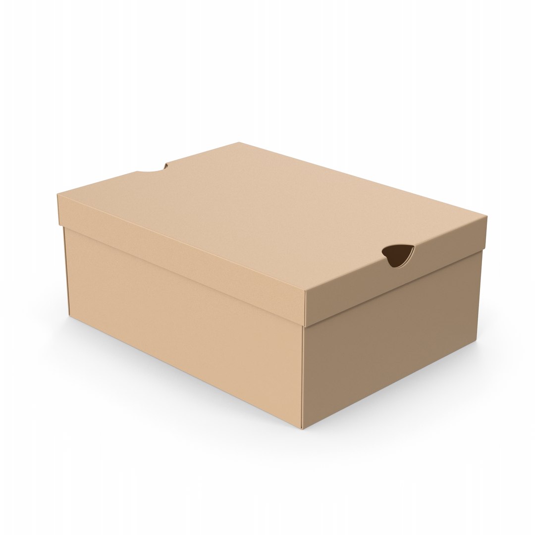 3D Brown Shoe Box - TurboSquid 2168507
