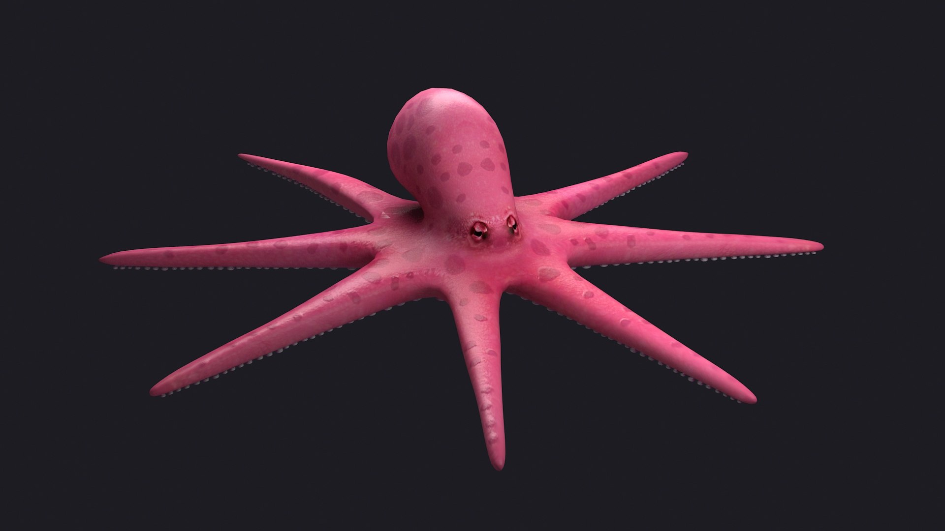 3D Octopus Cartoon - TurboSquid 2001584