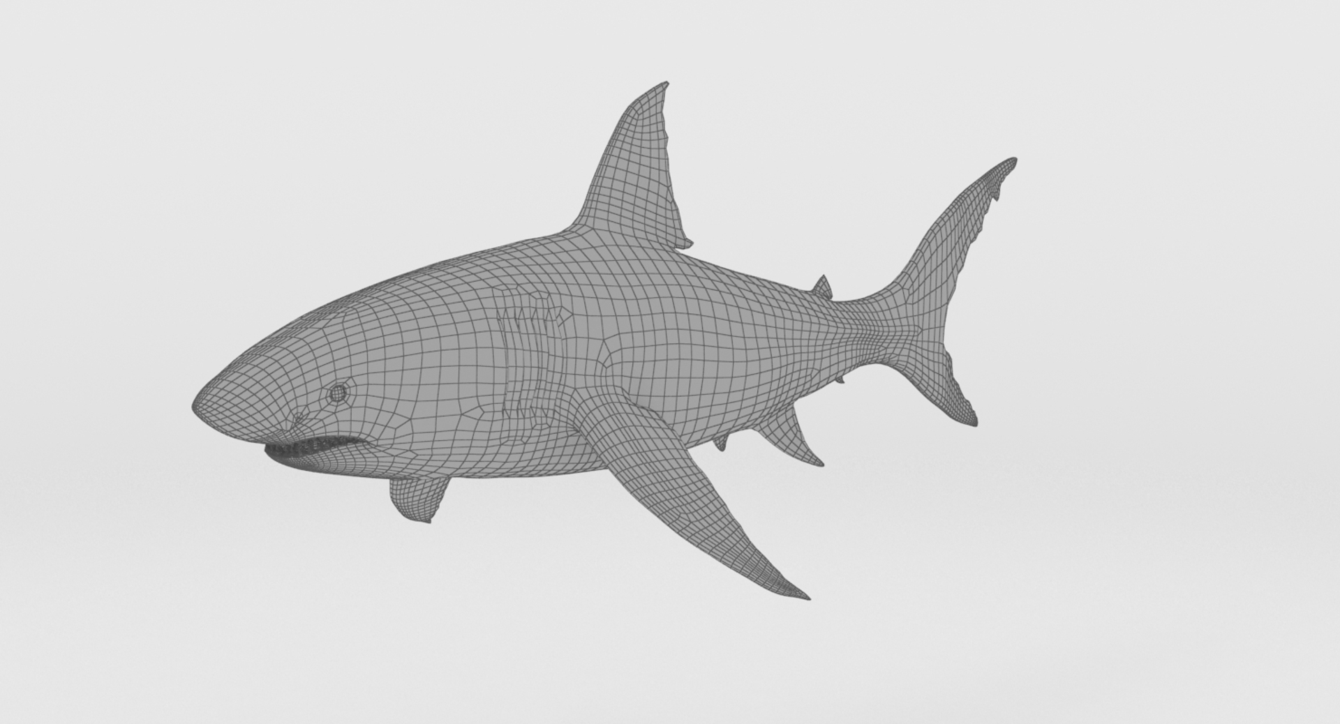 Great White Shark Model - TurboSquid 1235599