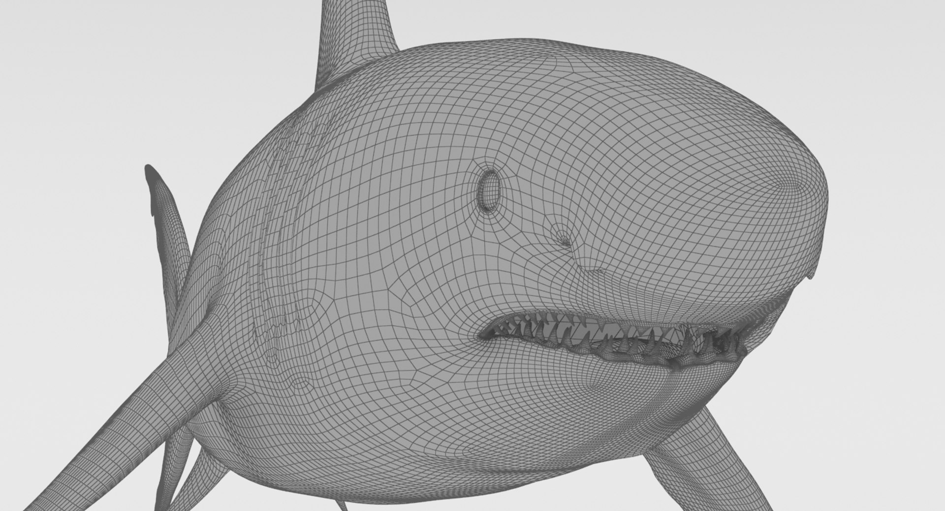 Great White Shark Model - TurboSquid 1235599